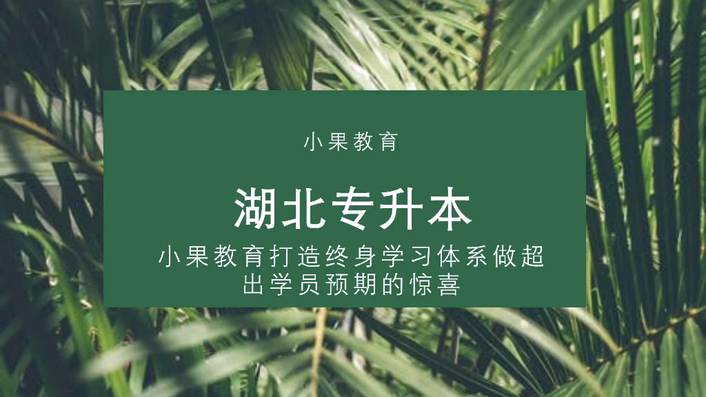 专升本会计专业可以报考哪些学校