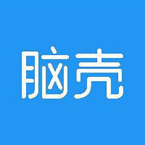 脑壳智力 