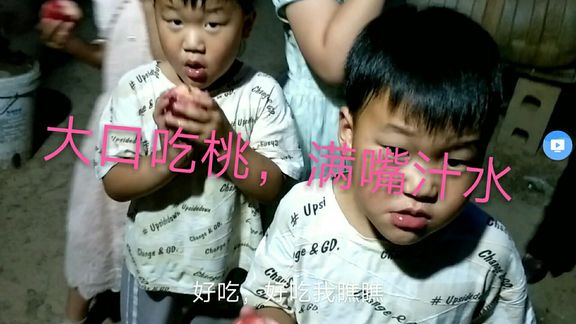 带小朋友去摘桃子吃,20多斤才50元,你感觉划算吗