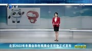   北京2022年冬奥会和冬残奥会吉祥物正式发布