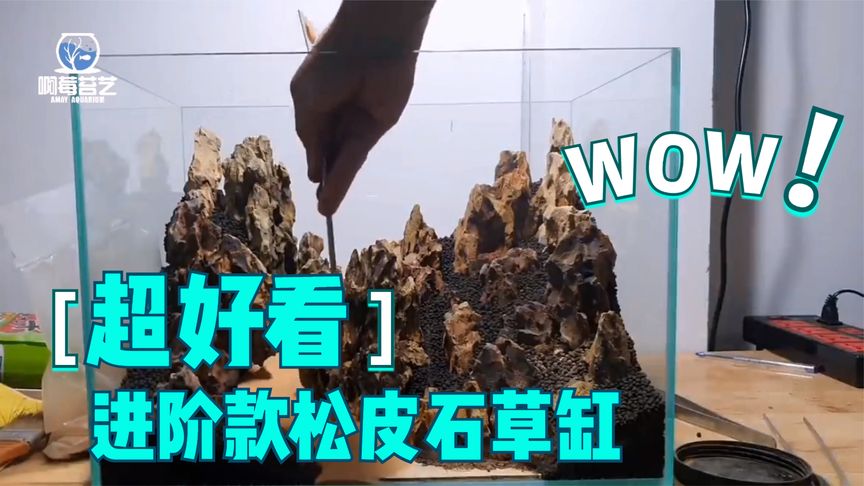 好看的松皮石山景小草缸,从打碎石头开始教你制作,成品很不错!