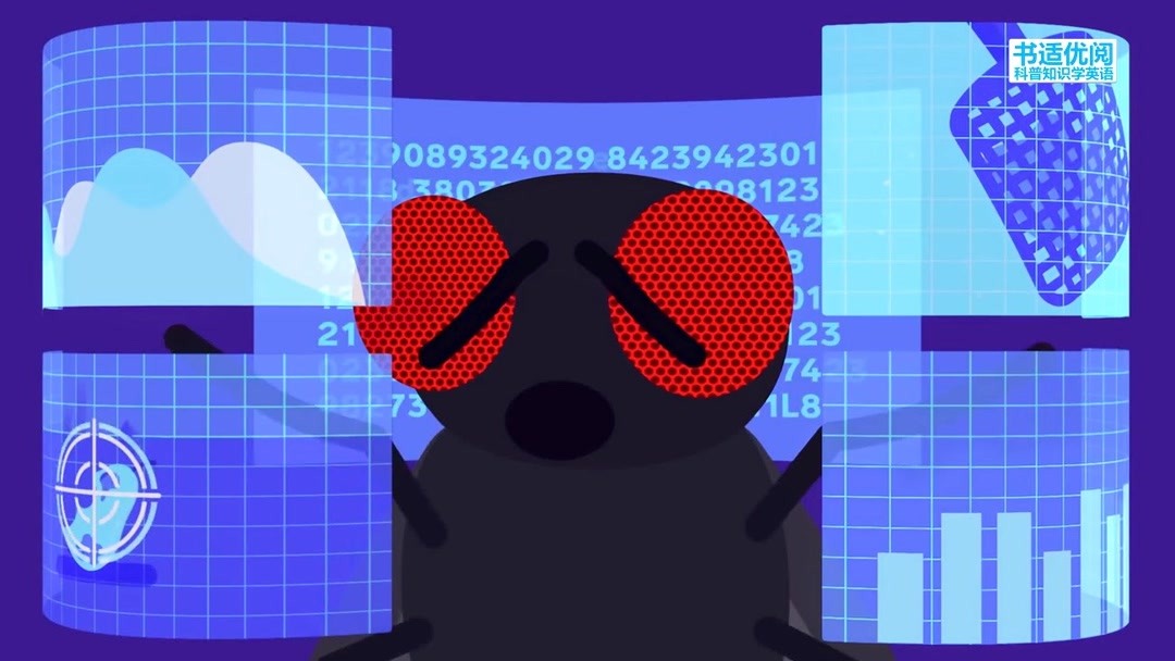 科学家为什么说苍蝇是个数学天才呢科普知识英语学习记单词