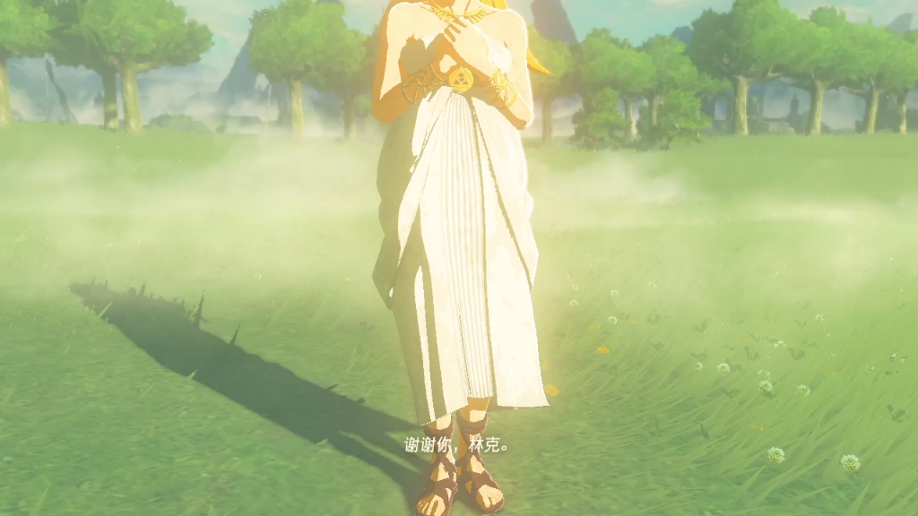 林克,你还记得我吗?林…你谁?