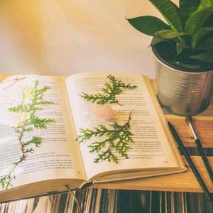 我的职场我做主1 