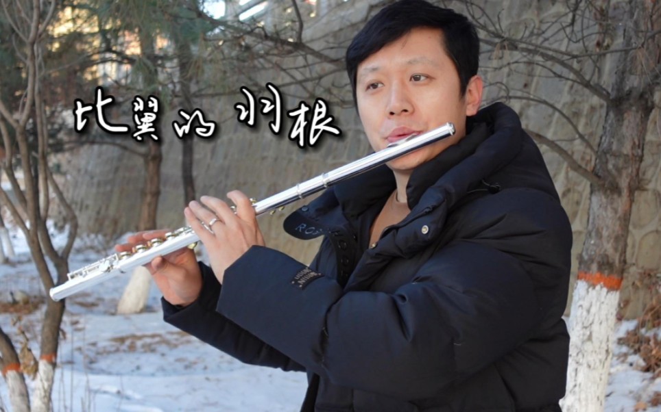 【长笛】《比翼的羽根》| 动漫主题曲 | 二次元 | 枫林演奏