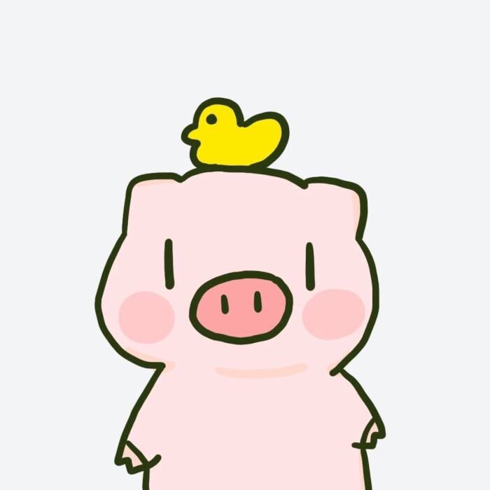 好奇的西木 