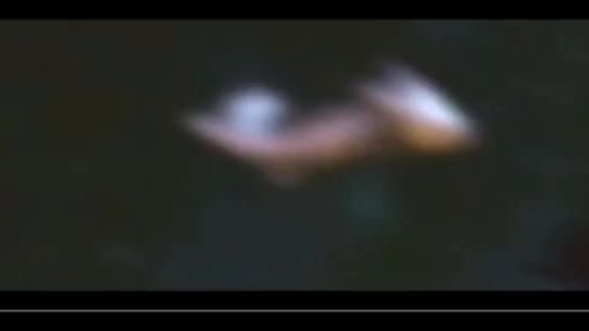 现实死后开启修仙,我也想要个修仙引路人