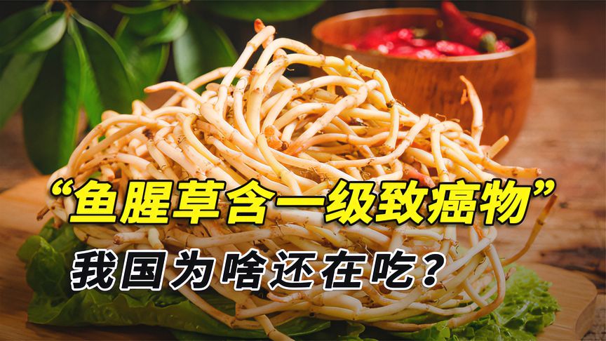 鱼腥草含一级致癌物,国外早已明令禁止,我国为啥还在吃?
