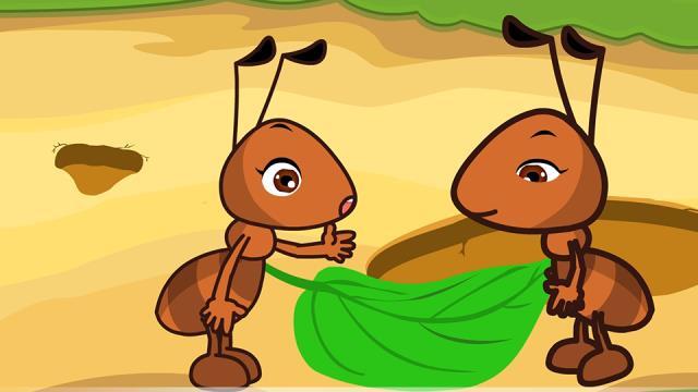 嘟拉动物故事 一片树叶引发的争吵