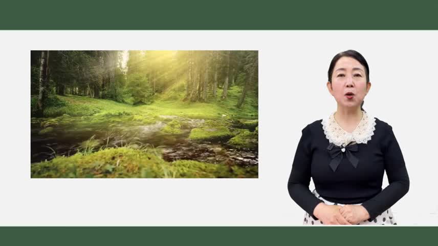 小学音乐人教版三年级下册《森林与小鸟》