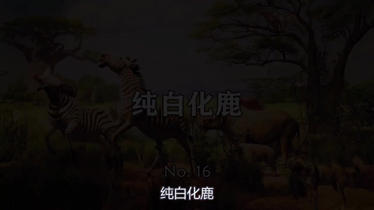 世界上最稀有的动物会是什么样的?