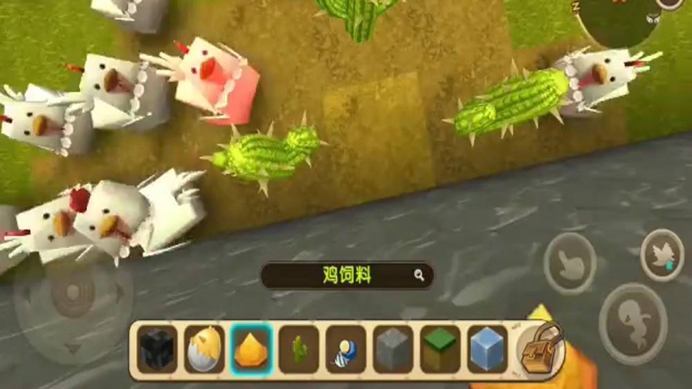 迷你世界:偶尔皮一下,养了一群小鸡,喂饲料可要慢慢吃啊!