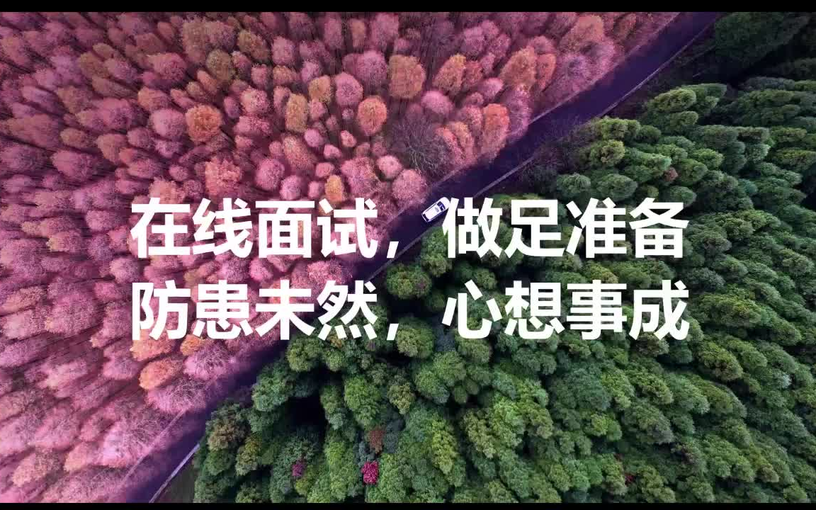 导师视角的研究生面试05:网络面试的爆雷方式|在线复试的10条注意...