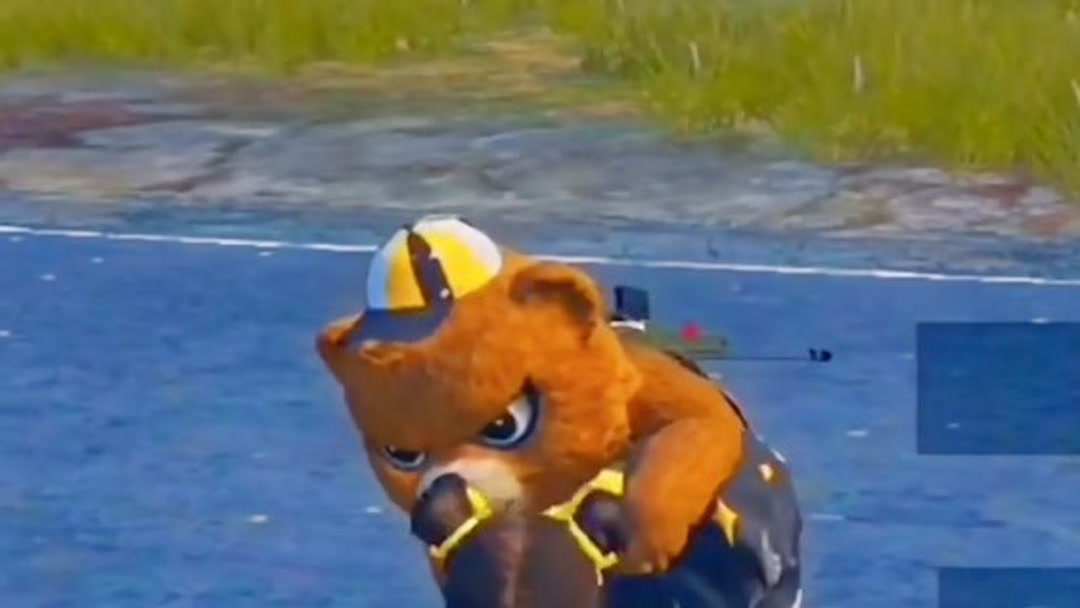 决赛圈遇到 小熊波比182556