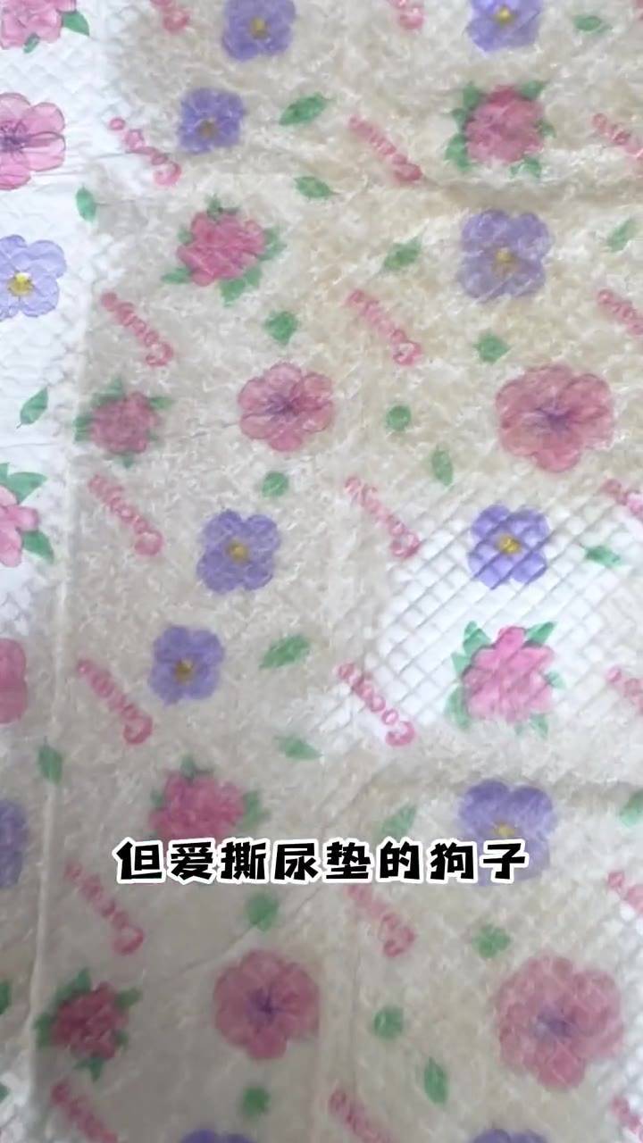 这个狗狗尿垫可以辅助训练狗狗定点上厕所,
