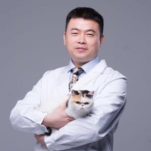 犬猫内科医生 