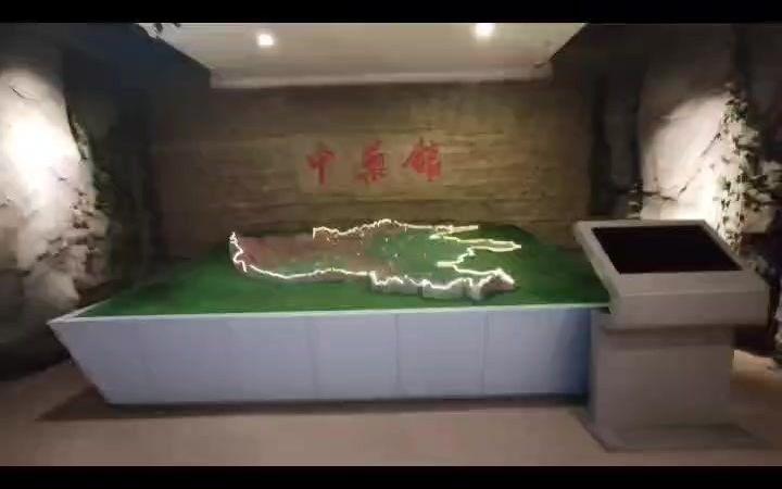 世界传统医药日,我们去中药馆康康吧!