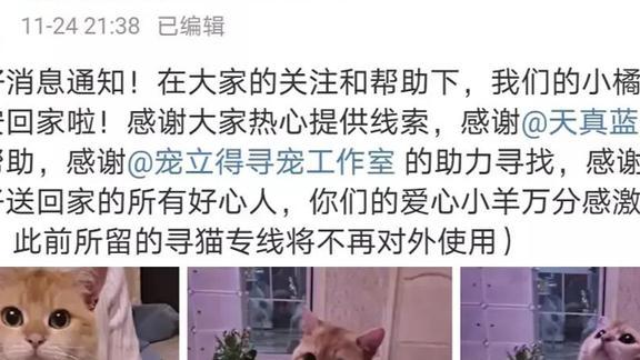 陪伴业态悄然兴起,招聘平台“撸猫遛狗师”“家庭陪伴师”岗位需求...