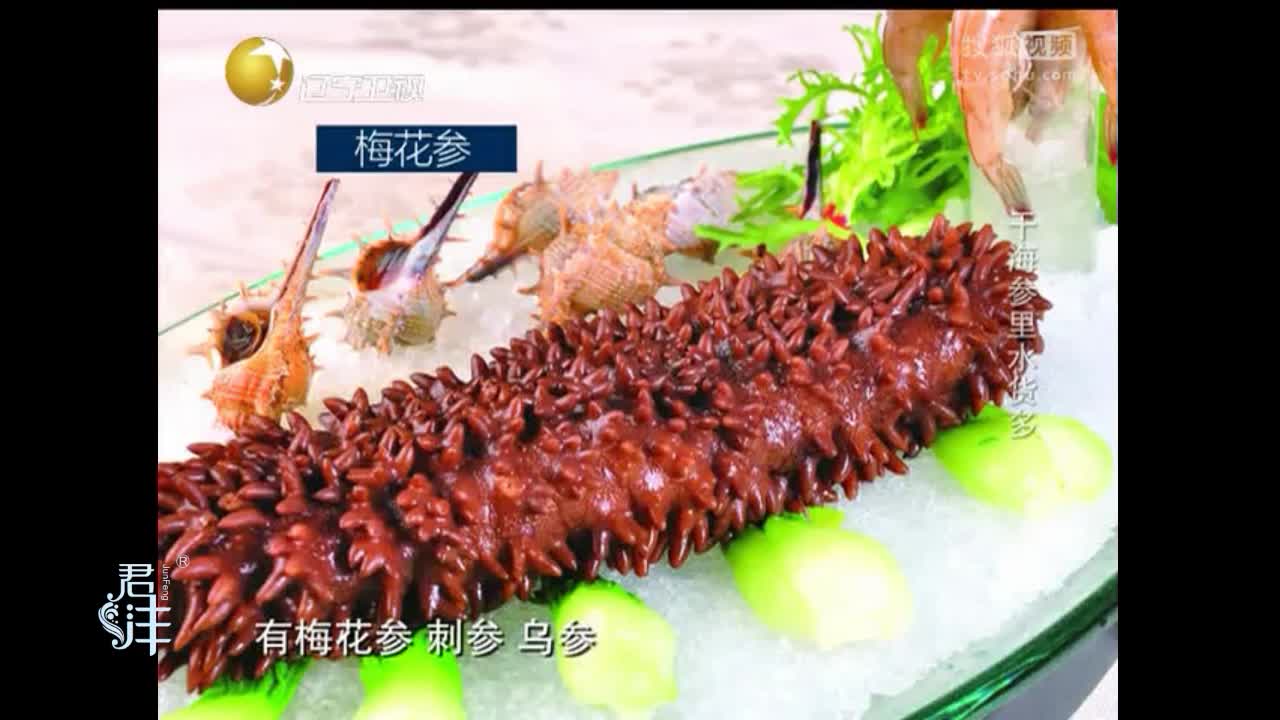 老梁讲海参:红极参价格为什么低廉