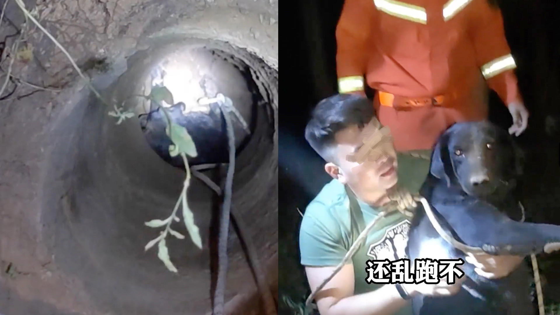 狗子掉进井里,男子让儿子头朝下下井救狗,网友:有父爱但不多