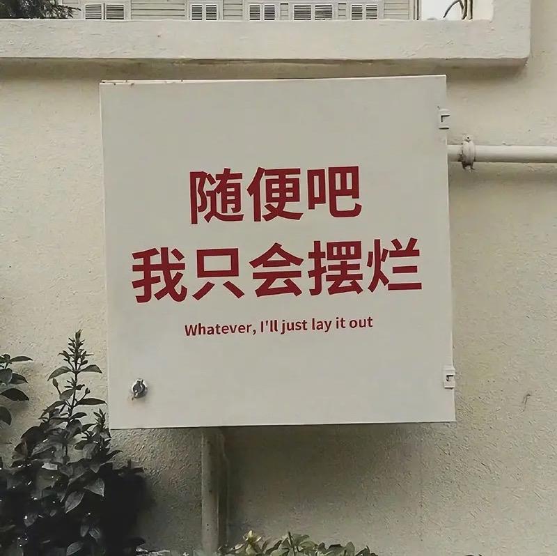 摸鱼大师王种子 