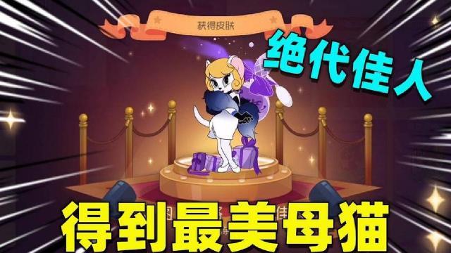 猫和老鼠手机游戏:得到图多盖洛的绝代佳人皮肤,放出飞吻老鼠投降了