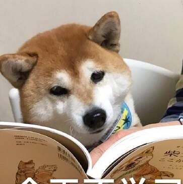 今天不罢学 
