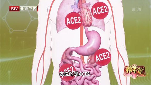 专家解读新冠病毒是如何破门而入的