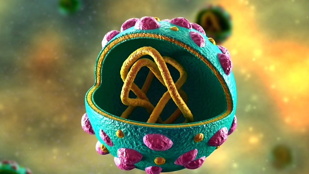 患了新冠病毒感染不治疗,靠自身的免疫力和抗体可以吗?