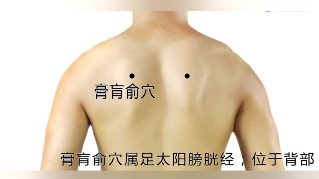 中医艾灸针灸取穴-膏肓俞穴