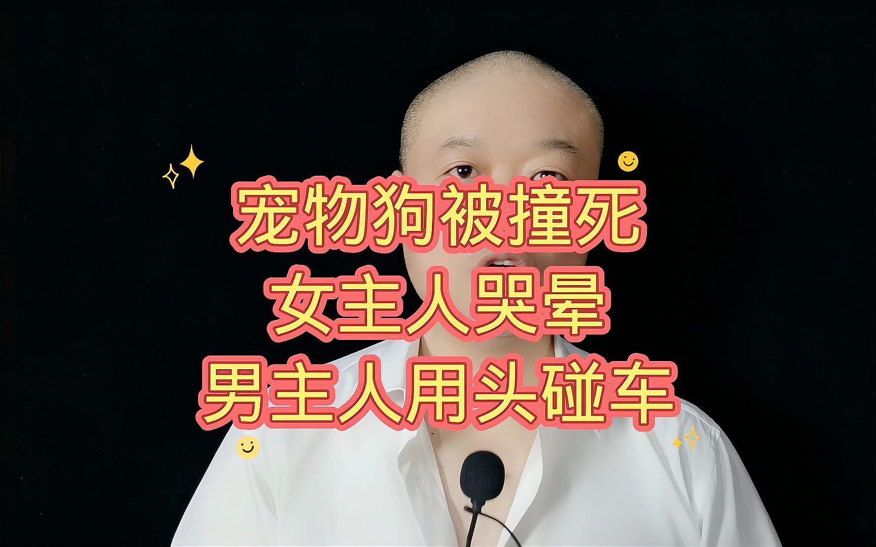 宠物狗被撞死:女主人哭晕,男主人用头碰车!