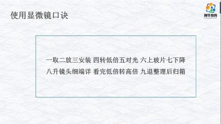 1.5用显微镜观察身边的生命世界一完整版2020.mp4