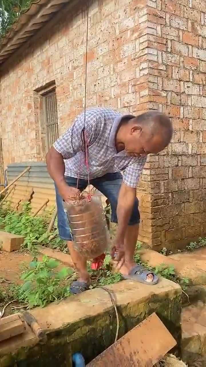 劳动人的智慧,新技能?农村生活美食趣胃计划