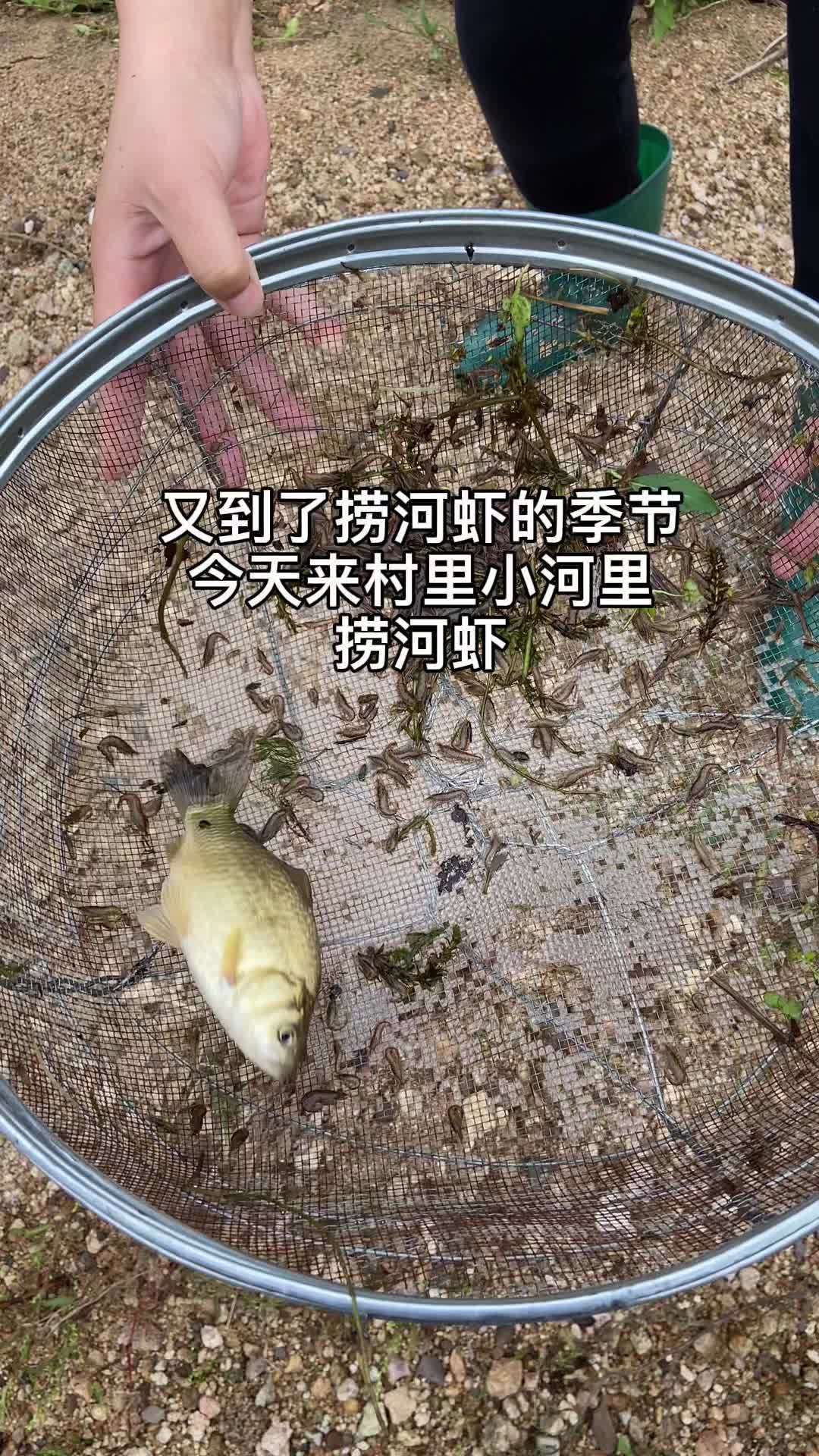 半山深处有人间,依山傍水远繁华,无为不做俗尘事,轻煮岁月慢煮茶如果...
