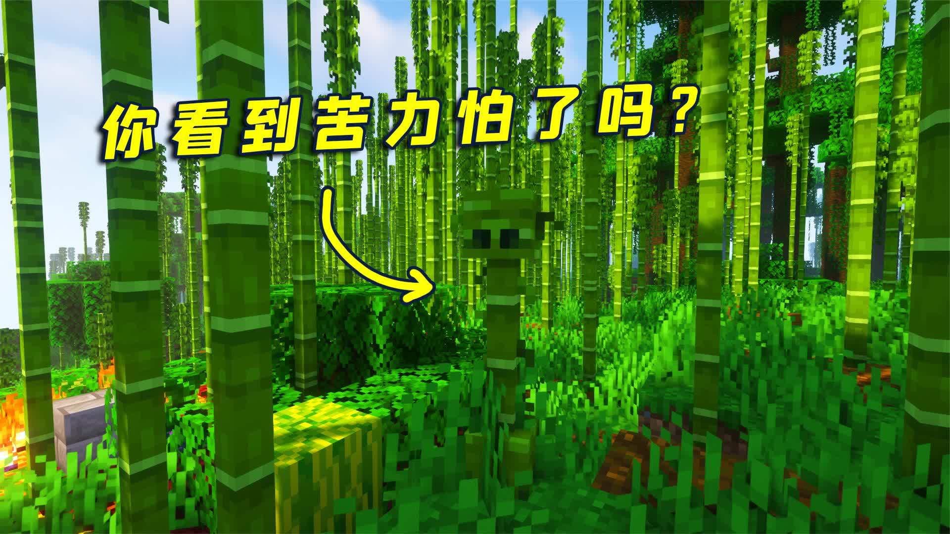 我的世界:苦力怕史诗级增强,这谁顶得住啊?