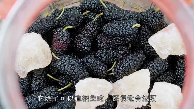 桑葚熟了,泡酒正当时,做法简单,滋补又好喝,喜欢的来学