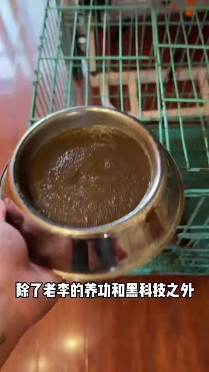 今天算补作业不算正式作业