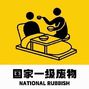 国家一级保护废物bass 