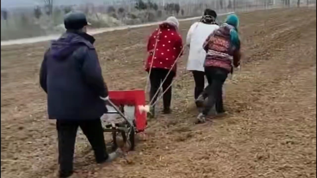 目前正在江苏沛县地区,附近有货的以及想种植中药材的,技术咨询的...