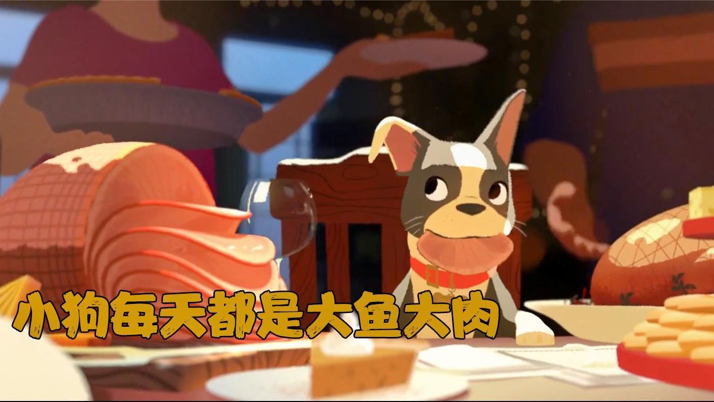 动画:流浪狗被单身汉收养,从此大鱼大肉,直到一个女人的出现