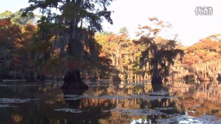 Caddo Lake