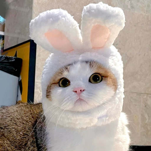 好想喝四季奶青 