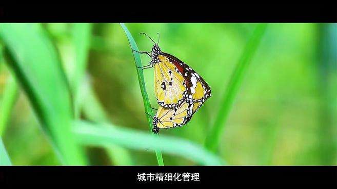 潍坊:把环保作为监督工作第一议题