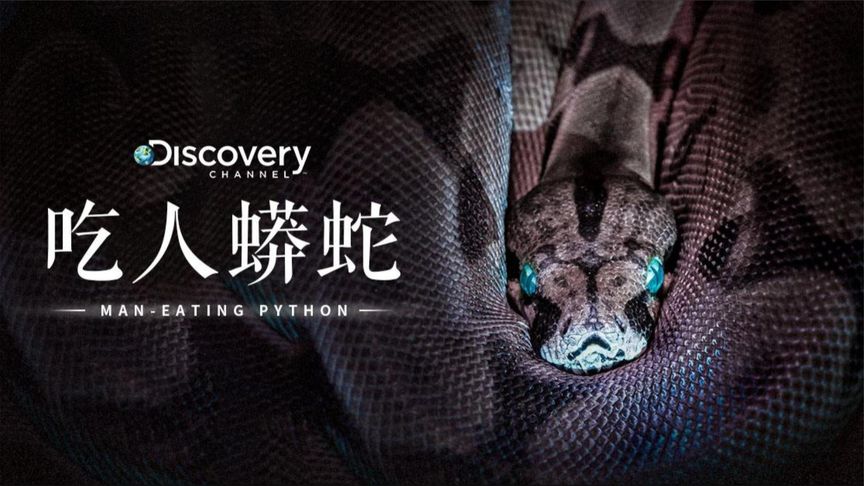 记录吃人蟒蛇真实事件!