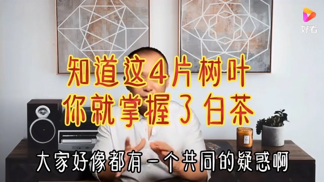 白茶的种类到底有几种?我们应该怎么来区分呢?