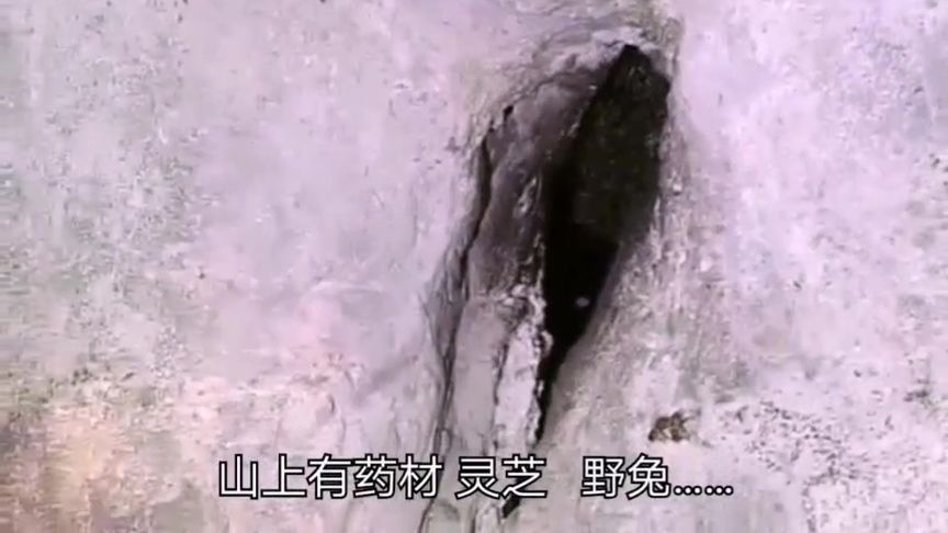 最近有人吃野生蜂蜜中毒身亡,什么样的蜂蜜不能吃?