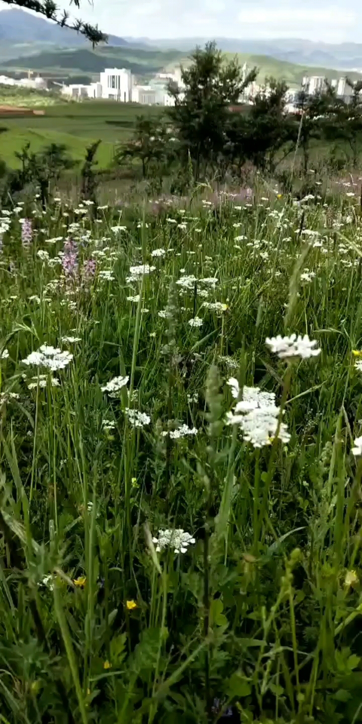 灵子的美妆频道 