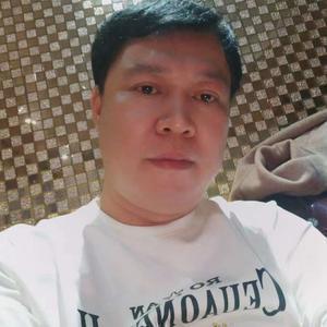 辉哥历史前线 