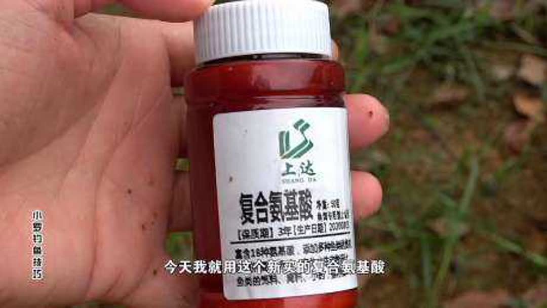 复合氨基酸究竟有没有促进鱼进食的效果?水下摄像头为你解开谜团