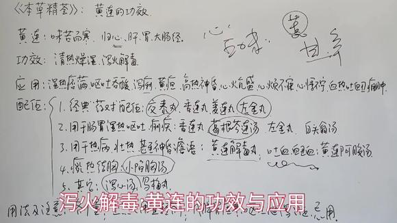 泻火解毒:黄连的功效与应用